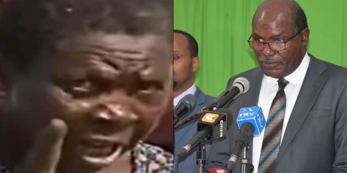 Tafadhali! Video of woman scolding Chebukati in 2017 resurfaces