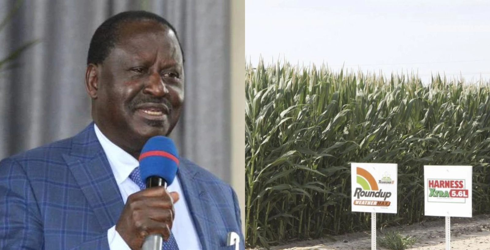 Raila: “Lifting the Ban on GMOs is not the Solution to Current Food Shortage”