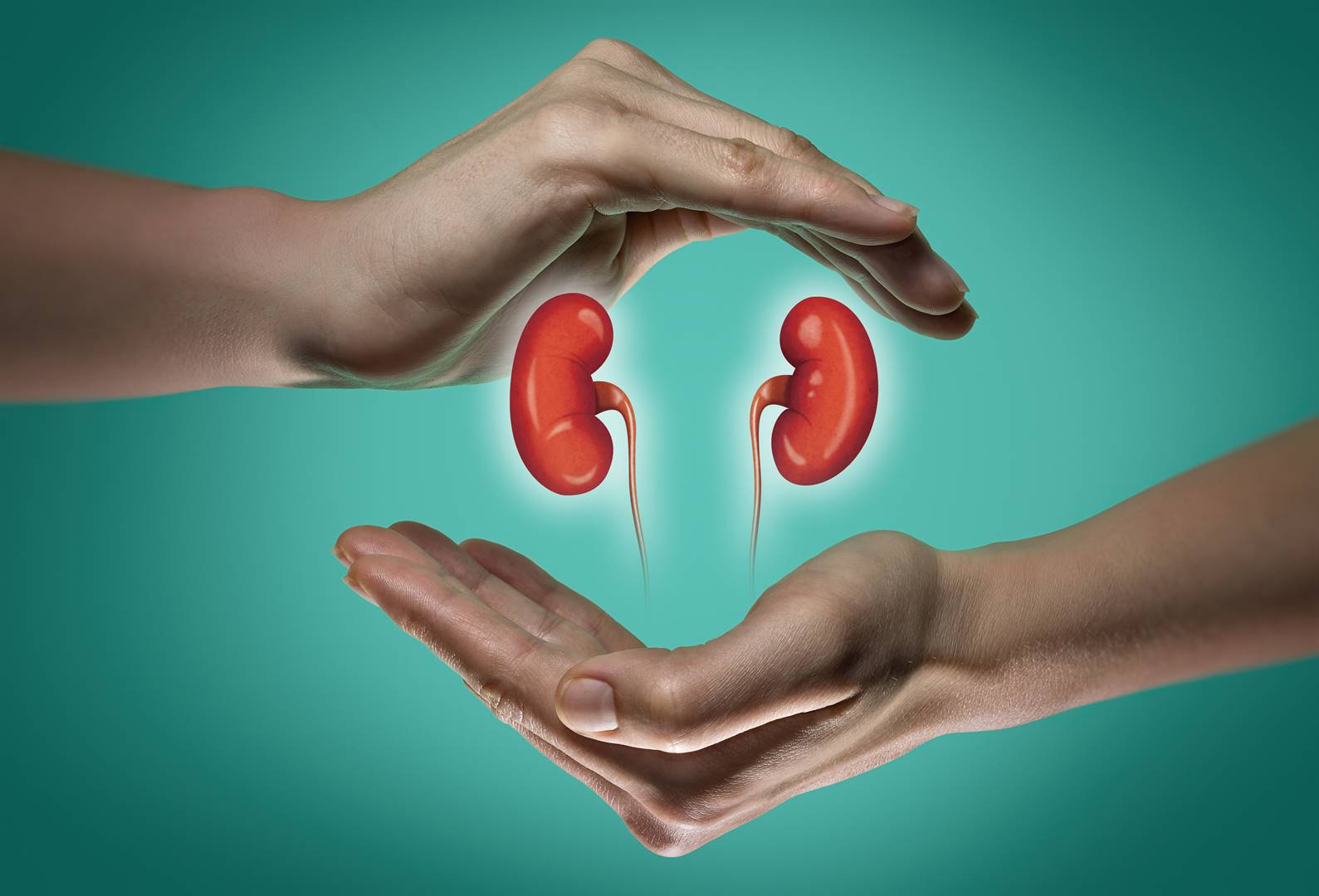 World Transplant Day: A Celebration of Life and a Call for Urgent Action