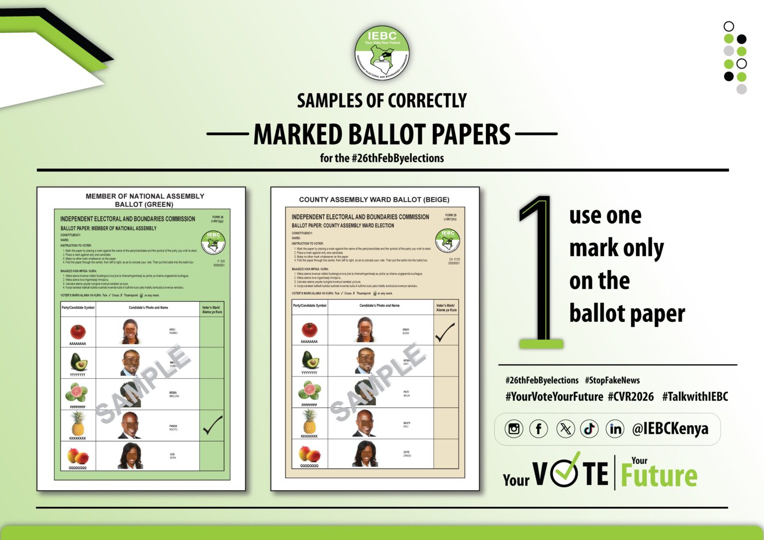 IEBC Issues Guidance on Proper Marking of Ballot Papers Ahead of Feb 26 ...